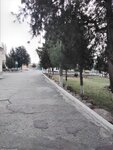 Şehir Merlez Hastanesi (Mir Sok. No:330), hastaneler  Kânibâdâm'dan