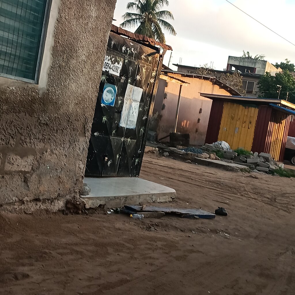 Berberler Best in Town, Dünya, foto