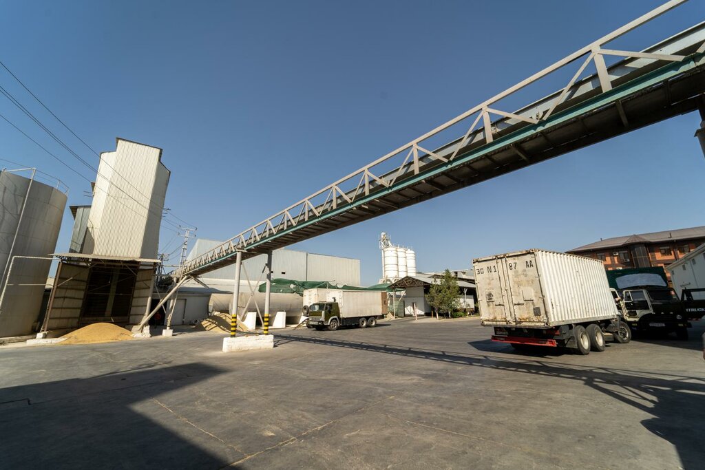 Tarım firmaları Navobod Naslli Parranda, Semerkant eyaleti, foto