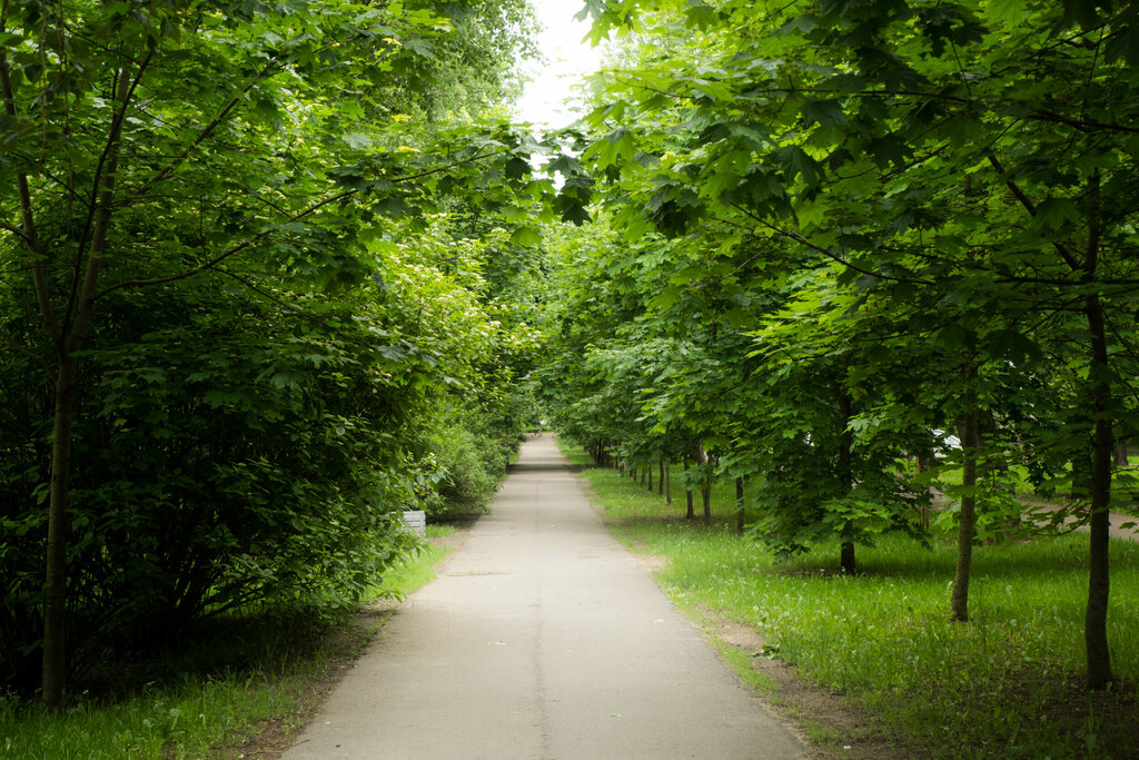Kültür ve eğlence parkları Skvier Klumava, Minsk, foto