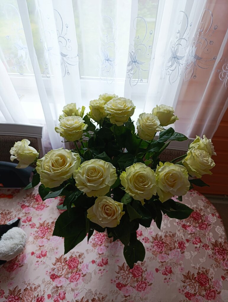 Çiçekçiler Азбука Цветов Рощино, Saint‑Petersburg ve Leningradskaya oblastı, foto