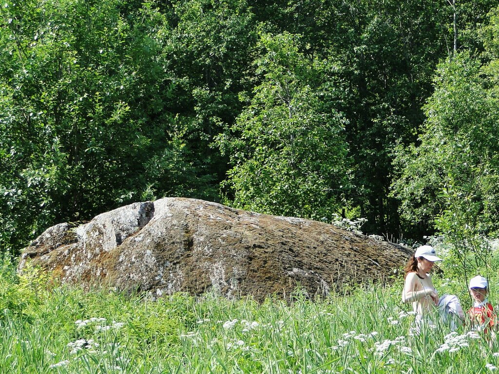 Turistik yerler Ледниковый валун Бизон, Lomonosov, foto