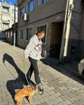Asli Veteriner Kliniği Gönen (Balıkesir, Gönen, Kurtuluş Mah., Şehit Ercan Coşkun Cad., 28), veteriner klinikleri  Gönen'den
