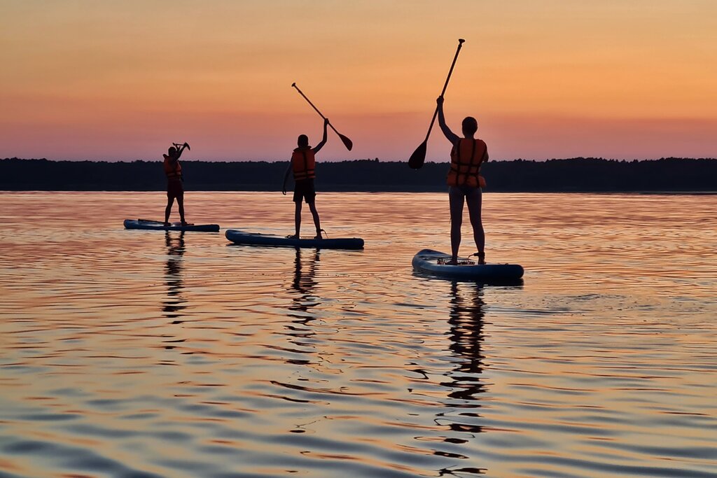 Kiralama noktası Магазин проката, Smolenskaya oblastı, foto