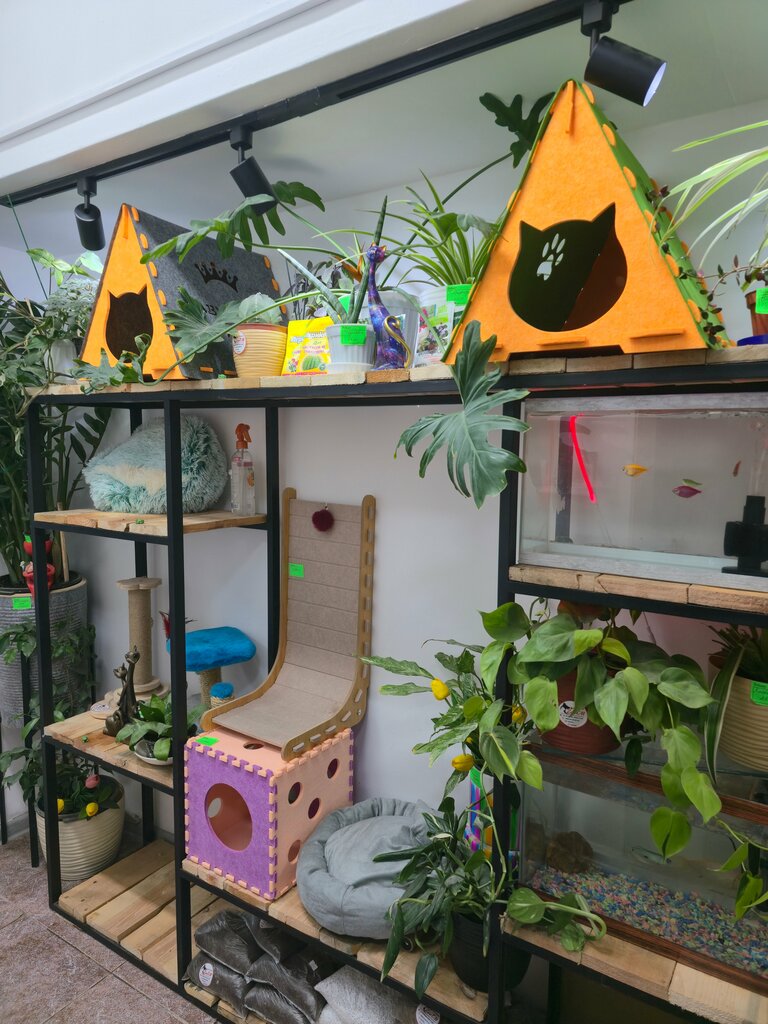 Petshop Zootm, Aşkabat, foto