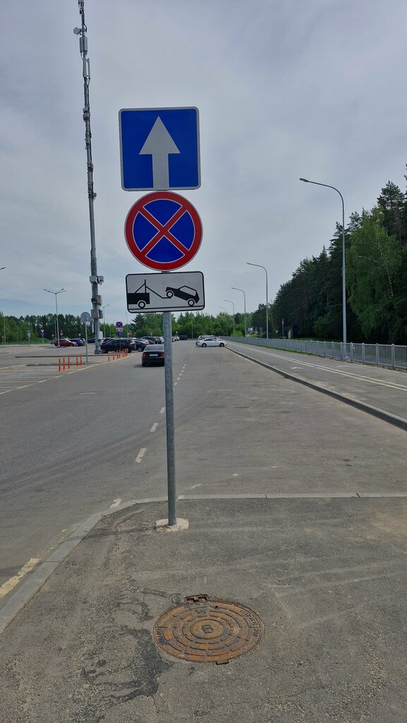 Otoparklar Parking lot, Moskova ve Moskovskaya oblastı, foto