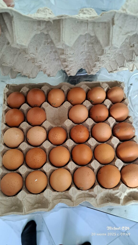 Tarımsal altyapı Kostromskaya Ptitsefabrika, Kostromskaya oblastı, foto