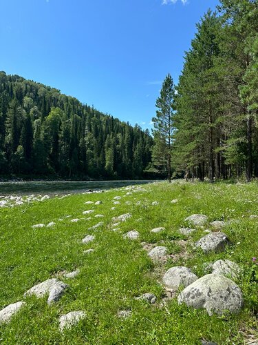 Konuk evi Зеленый домик, Altay Cumhuriyeti, foto