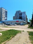 Ассорти (Autonomous Republic of Abkhazia, Town of Gagra, Camping Subdistrict), market  Gagra'dan