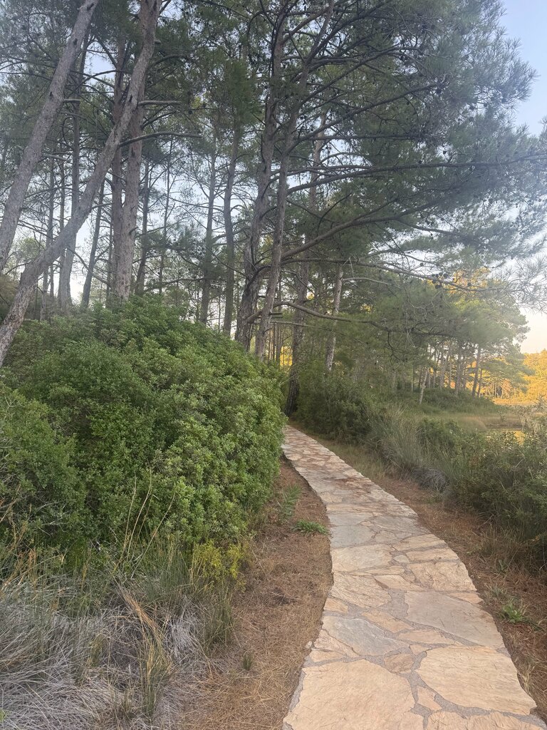 Konut blokları Yeşil deniz sitesi, Datça, foto