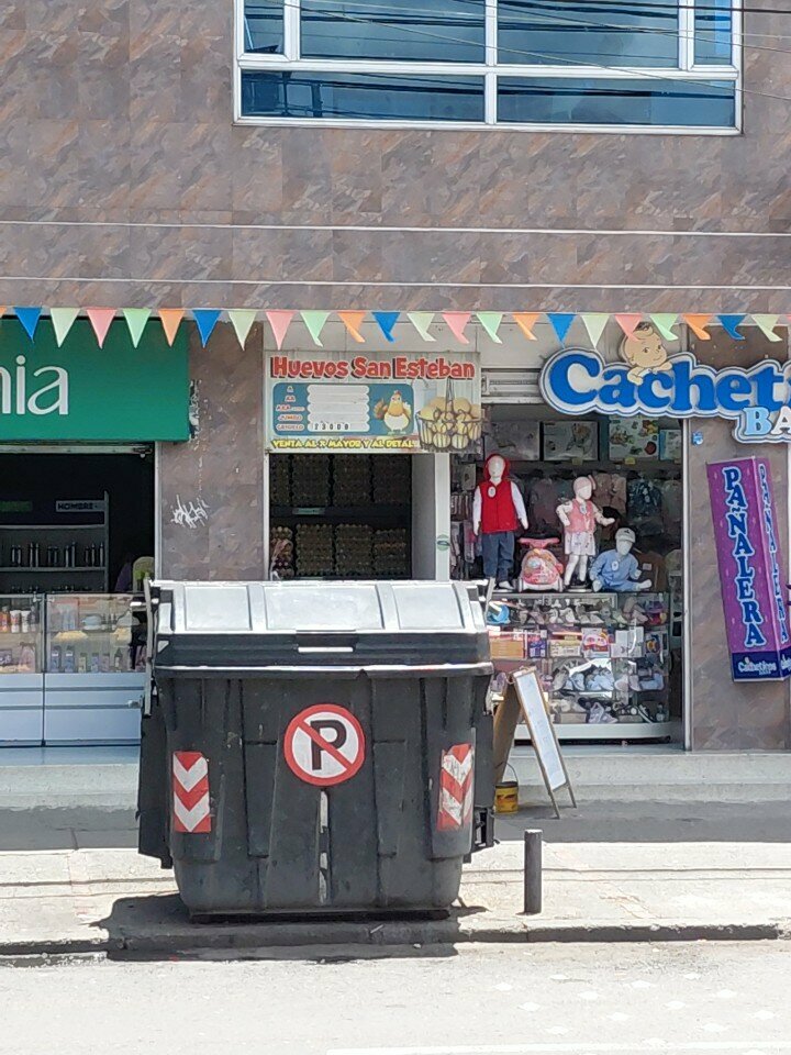 Kümes hayvanları çiftliği Huevos San Esteban, Bogota, foto