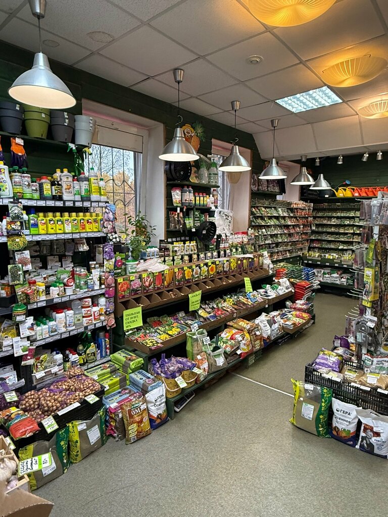 Tohum satan yerler Семена и Саженцы, Kolpino, foto