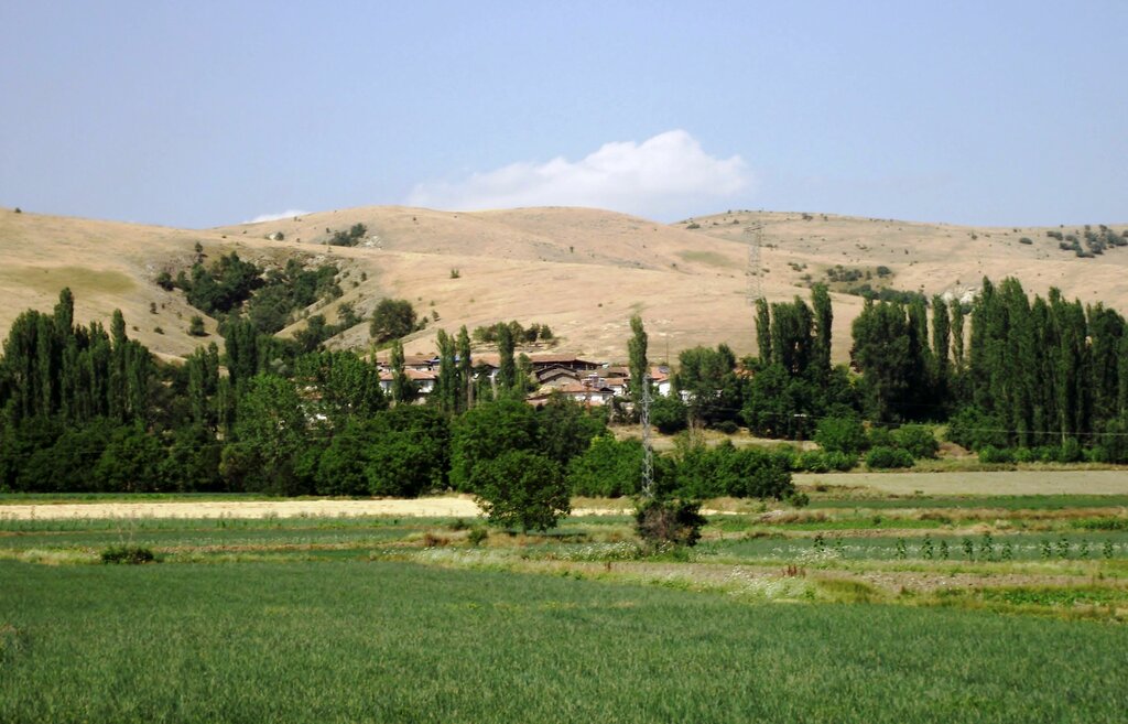 Muhtarlıklar Balıklı Köy Muhtarlığı, Gümüşhacıköy, foto