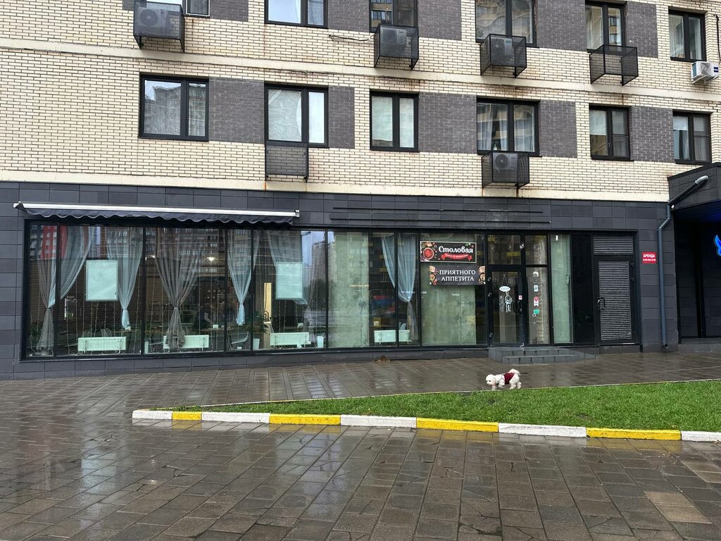 Kantin, yemekhane Приятного аппетита, Krasnogorsk, foto