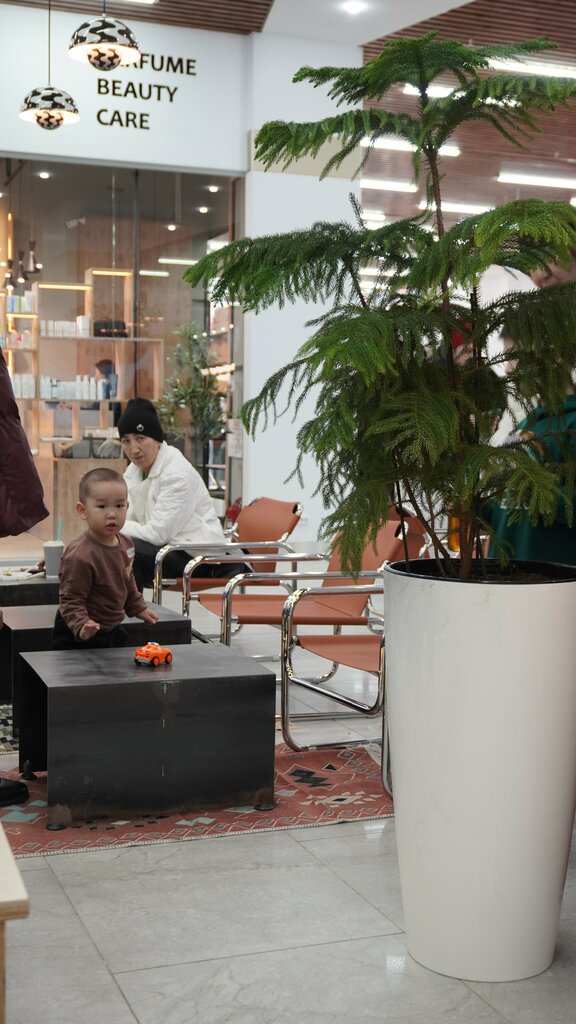 Kahve dükkanları BlackБери, Kökşetav, foto