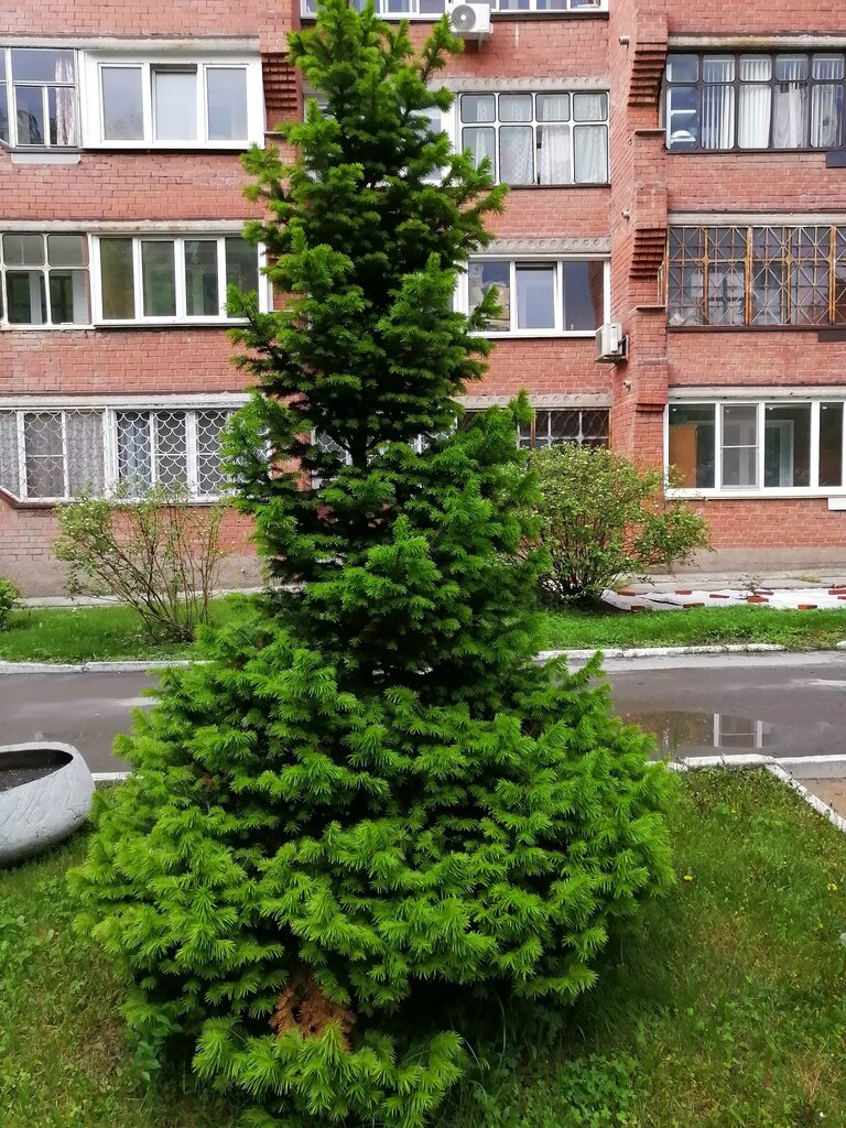 Bina, site yönetimi На Донского, ТСЖ, Novosibirsk, foto