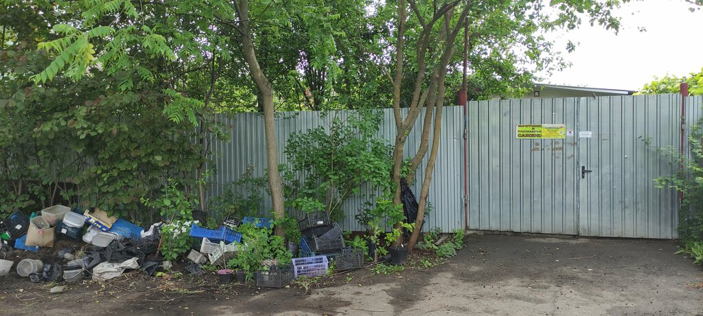 Sera ve bahçe ürünleri LPKh ili Chastny Plodopitomnik, Rasskazovo, foto