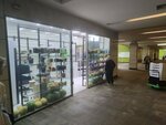 Ягоды (Moscow, Vostochniy Administrative Okrug, Novokosino District), yemişler  Moskova'dan