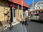 Антиквариат (Dzerzhinskogo Street No:52), antikacı dükkanları  Kaluga'dan