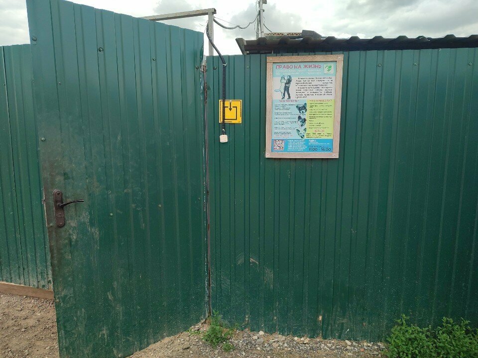 Hayvan barınakları, kulüpleri ve otelleri Right to life, Cheboksary, foto