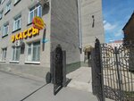 Mishen (ulitsa Yakovleva No:177), t-shirt baskı  Omsk'tan