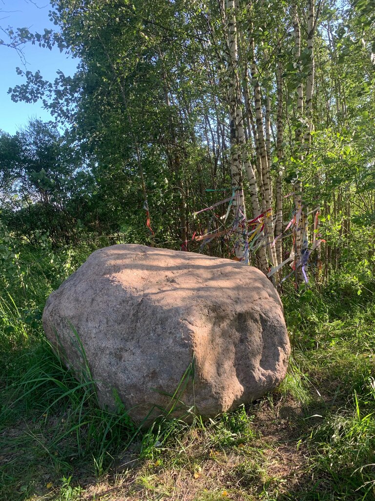 Turistik yerler Молодеев Синь-камень, Kostromskaya oblastı, foto