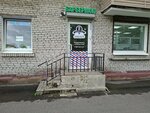 Sheikh (Lensoveta Street No:81), berberler  Saint‑Petersburg'dan