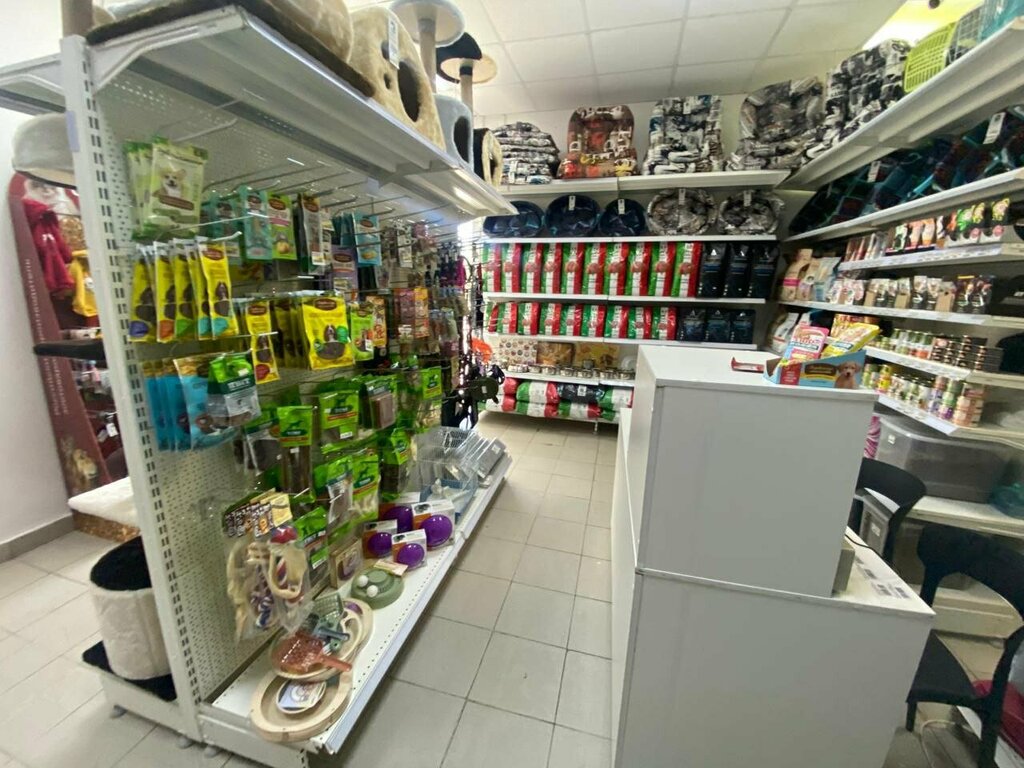 Petshop Пушистый друг, Volgograd, foto