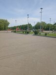 Курган Бессмертия (Bryansk, ulitsa Duki), toplu taşıma durağı  Briansk'tan