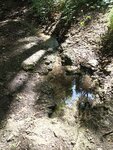 Spring, stream (Stavropol Territory, Zheleznovodsk, Kurortny park Zheleznovodska), pınar, çay  Zheleznovodsk'tan