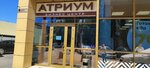Angelina Poga (Sredne-Moskovskaya street No:92), kaş ve kirpik salonu  Voronej'den