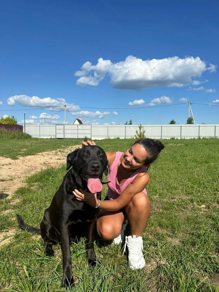 Pet otel ЗооHOTEL, Moskova ve Moskovskaya oblastı, foto