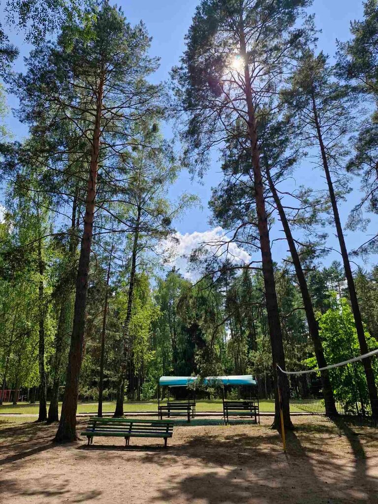 Yaz kampı ДОЛ Журавушка, Brestskaya oblastı, foto