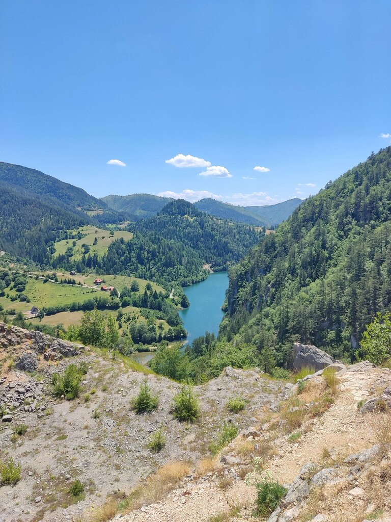 Parklar ve ormanlar Tara National Park, Dünya, foto