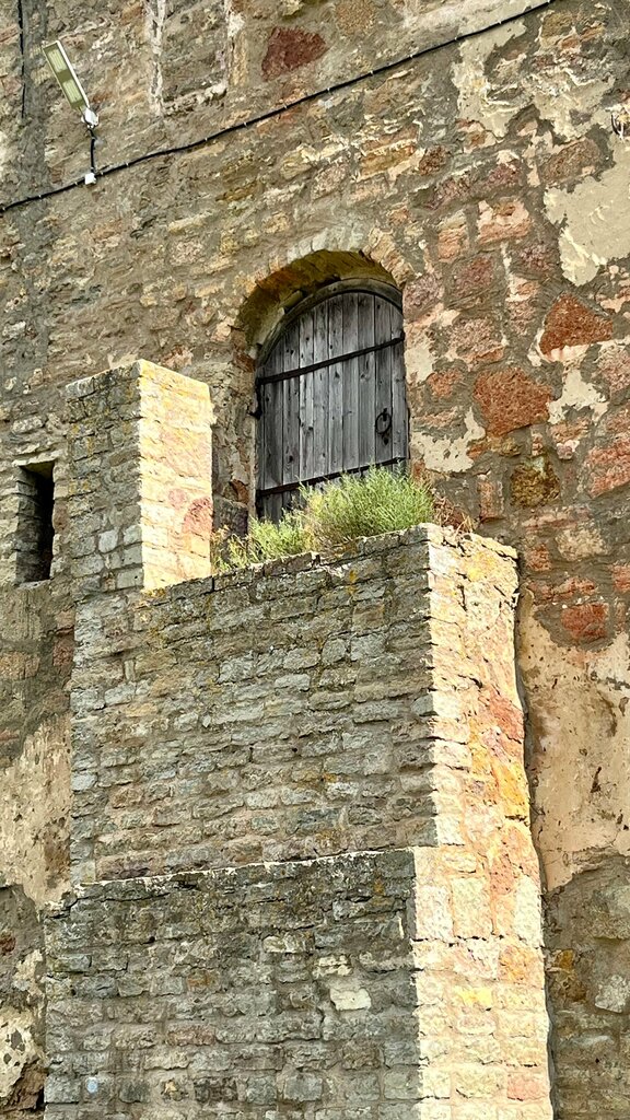 Turistik yerler Набатная башня, Ivangorod, foto