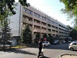 Saliteda kz (Tchaikovsky Street No:11), kurs  Almatı'dan