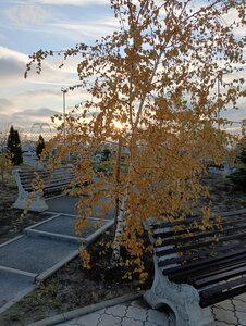 Центр культурного развития (Shkolnaya ulitsa No:22, posyolok Persianovskiy), kültür merkezleri  Rostovskaya oblastından