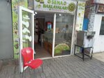 Sena Baklavalari (Gorky Street No:126), pasta, şekerleme ve tatlı  Bişkek'ten