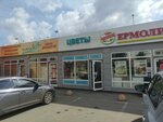 Ветка (21-ya Amurskaya ulitsa No:46Б), çiçekçiler  Omsk'tan