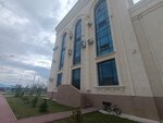 Sanlin (Qarasaz kóshesi No:3, Ońtústik-Shyǵys shaǵyn aýdany (oń jaǵy)), spor kulüpleri  Astana'dan