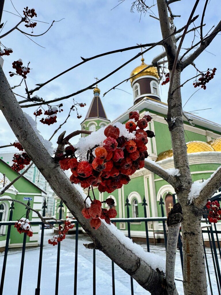 Ortodoks kiliseleri Tserkov prepodobnogo Serafima Sarovskogo, Lipetsk, foto