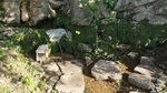 Spring, stream (Rostov Region, Krasnosulinskiy rayon, Kovalyovskoye selskoye poseleniye), pınar, çay  Rostovskaya oblastından