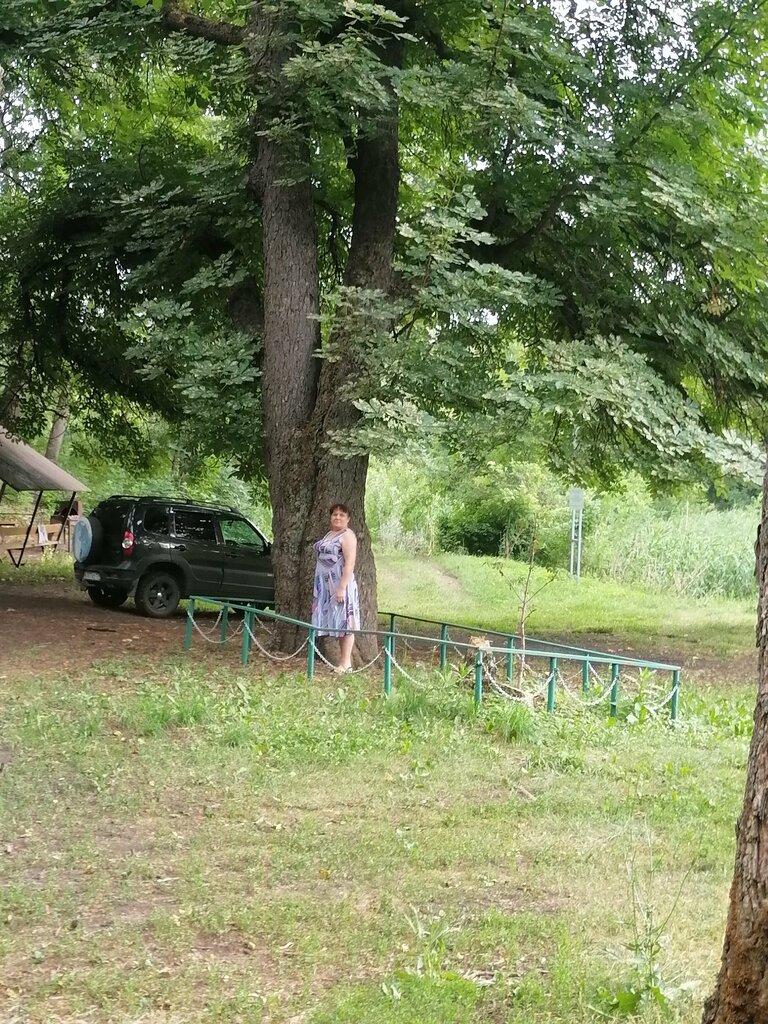 Kültür ve eğlence parkları парк-усадьба села Еленовка, Voronejskaya oblastı, foto