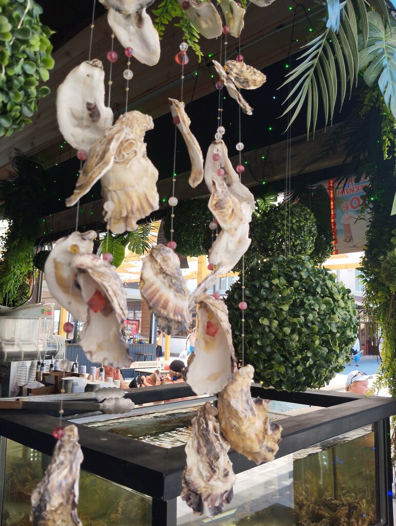 Balık ve deniz ürünleri Мидийная, Soçi, foto