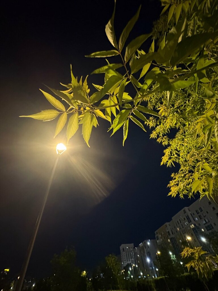 Konut blokları Kólsai, Astana, foto