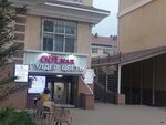Gulnar (Ál-Farabı dańǵyly No:29, Esıl audany), çiçekçiler  Astana'dan