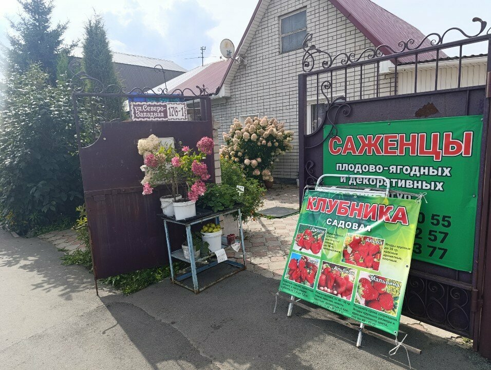 Yemişler Клубника, Barnaul, foto