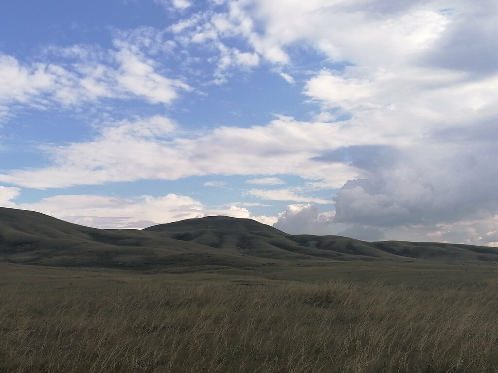 Dağ zirvesi Гора Сулейманова, Orenburgskaya oblastı, foto