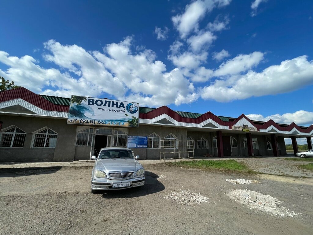 Halı yıkamacılar Волна, Tambovskaya oblastı, foto