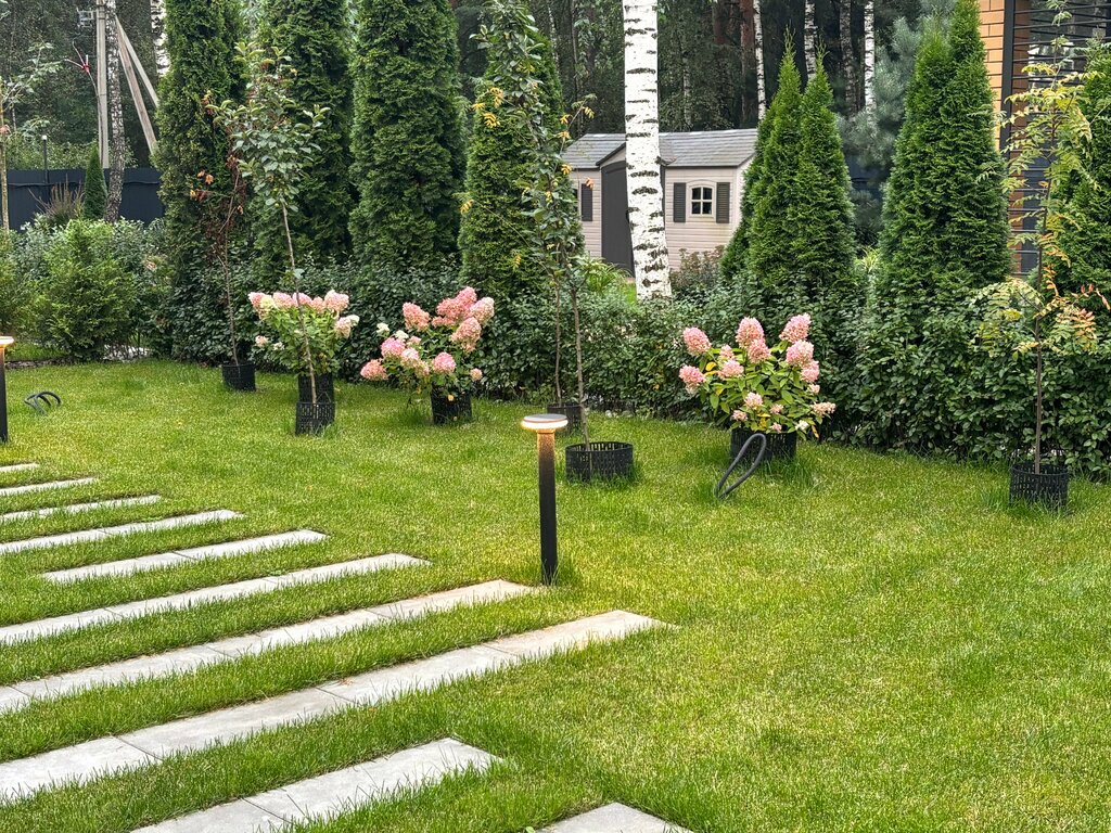 Peyzaj tasarımı Ваш Полив, Moskova ve Moskovskaya oblastı, foto